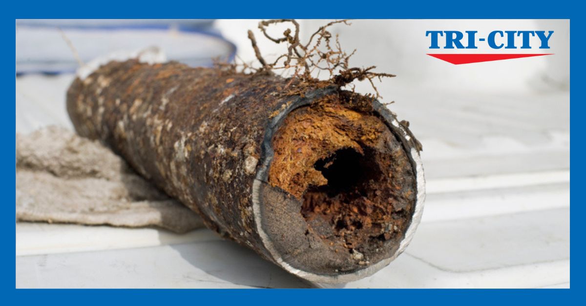 What Is Root Intrusion & How Do I Spot It?